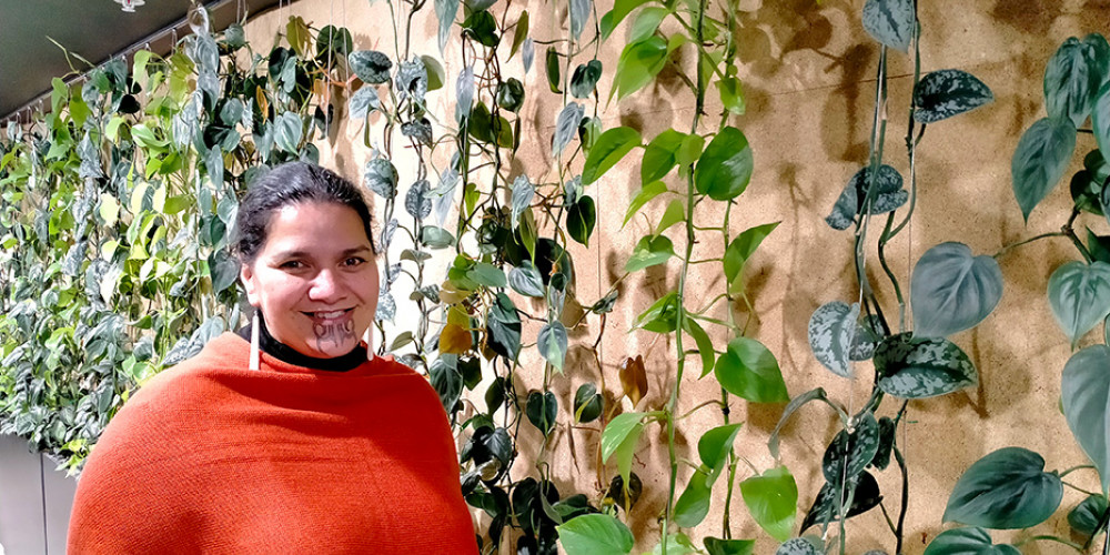 Ringa Hora Workforce Development Council chair and Māori community ...